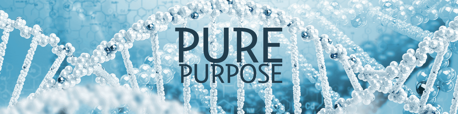 Pure Purpose · Pure Element 5