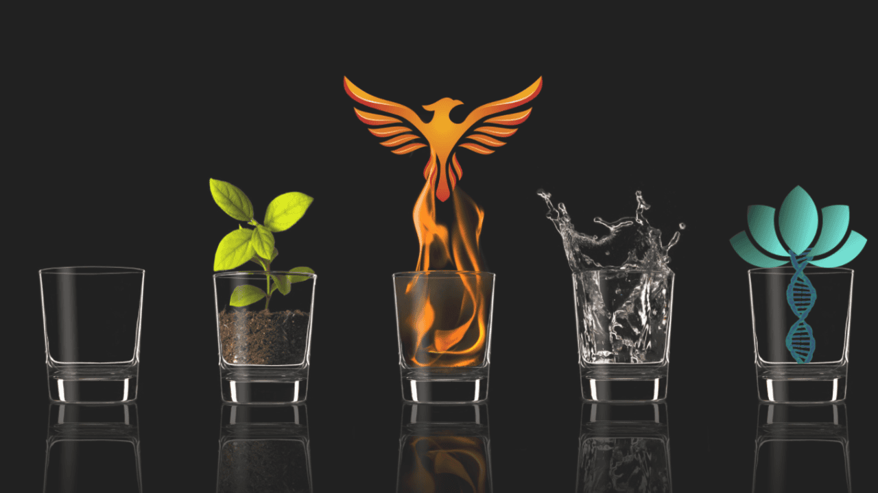 Home · Pure Element 5